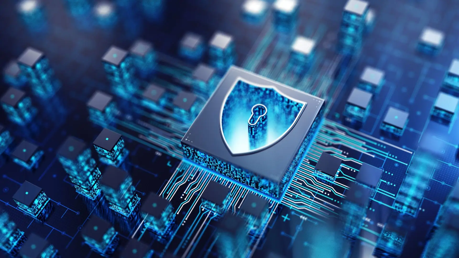 Poland the European leader of innovation in the field of cyber security